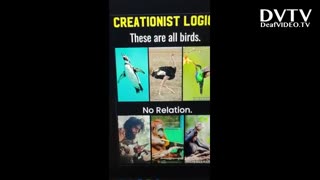 Apes use tools like us! | deafatheist | DeafVIDEO.TV - ASL Videos & Vlogs