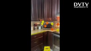 Happy Birthday Victor Solano | barb13 | DeafVIDEO.TV - ASL Videos & Vlogs