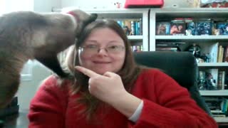 Mocha wants to cuddle me. | Redleaf | DeafVIDEO.TV - ASL Videos & Vlogs